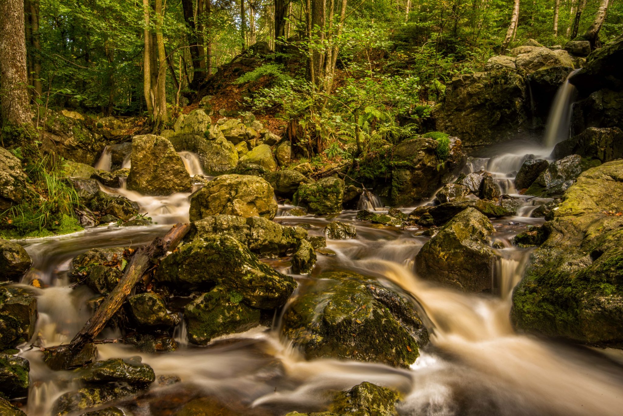 Die Ardennen – ein Paradies zum Wandern