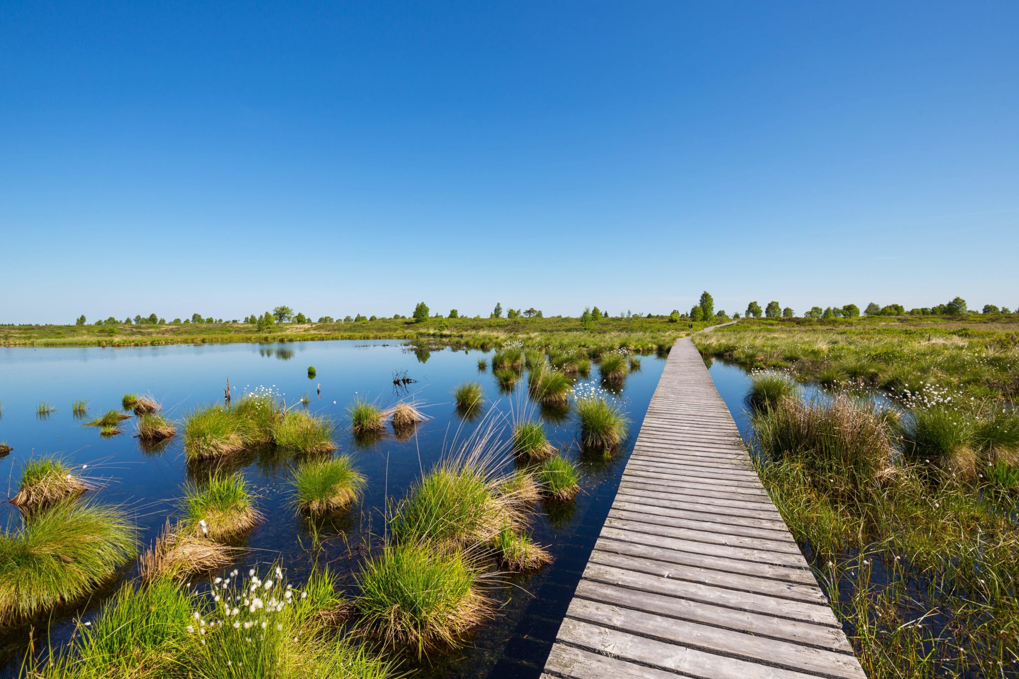Die Ardennen – ein Paradies zum Wandern